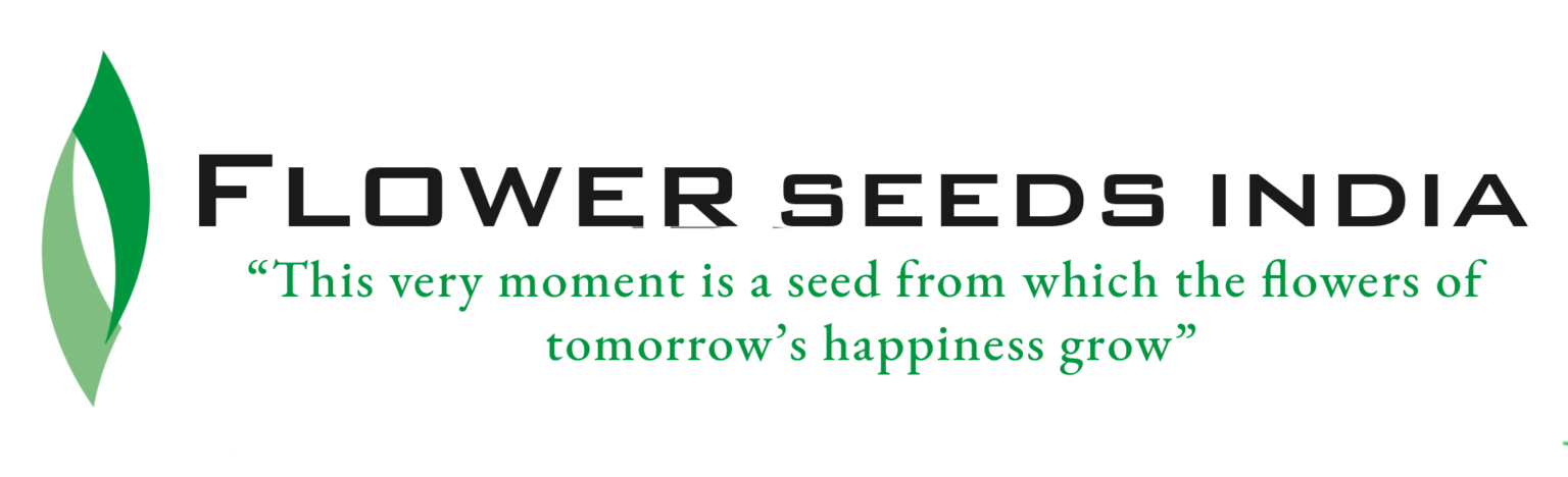 Flower Seeds India – This very moment is a seed from which the flowers ...